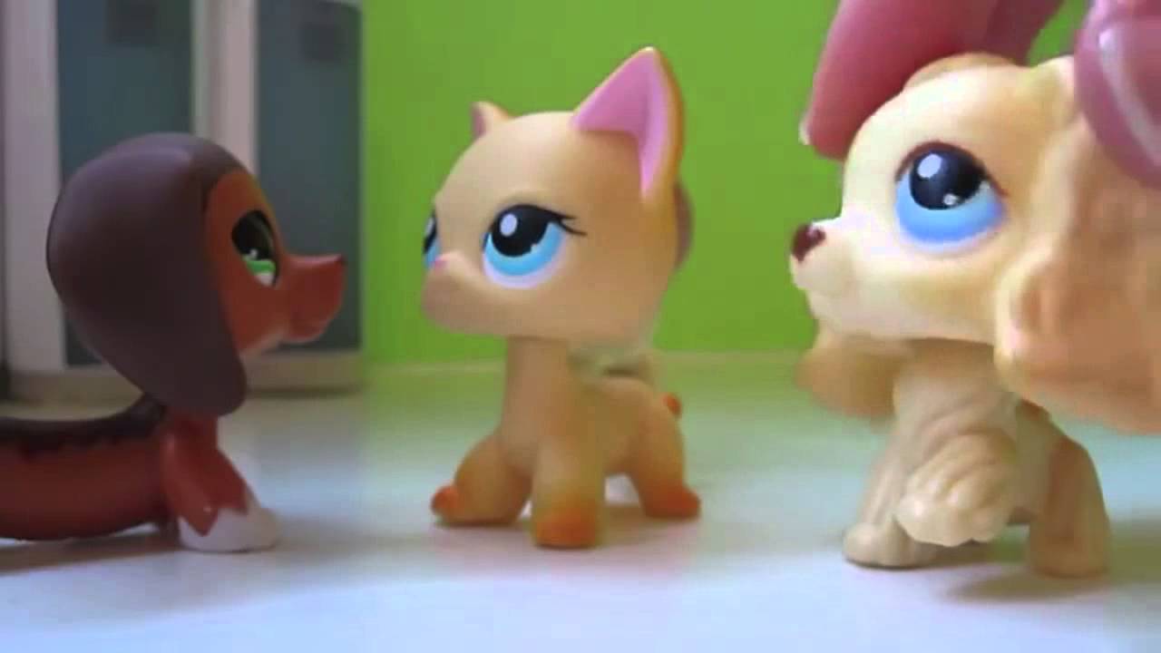Lps: BROOKE - YouTube