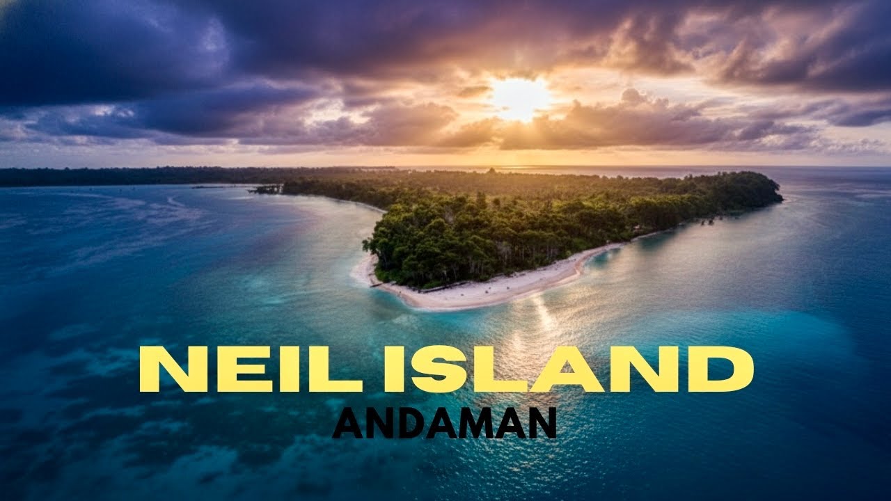 Neil Island | Andaman & Nicobar | Travel Guide | All beaches #andaman # ...