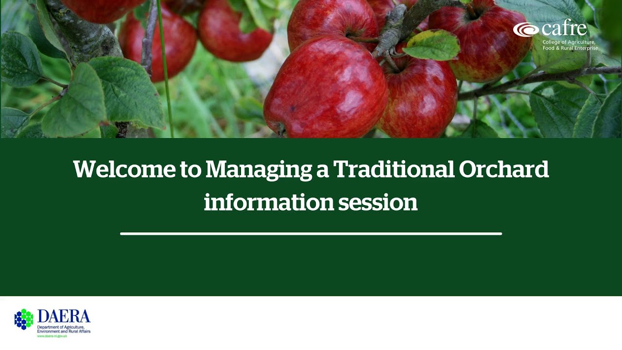 Traditional Orchard Management Information webinar - YouTube