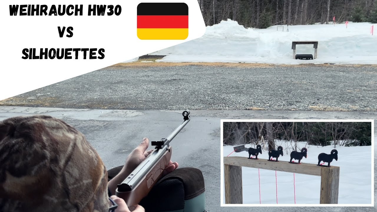 Fixed My HW30 Rear Sight! - 50yd Test - YouTube