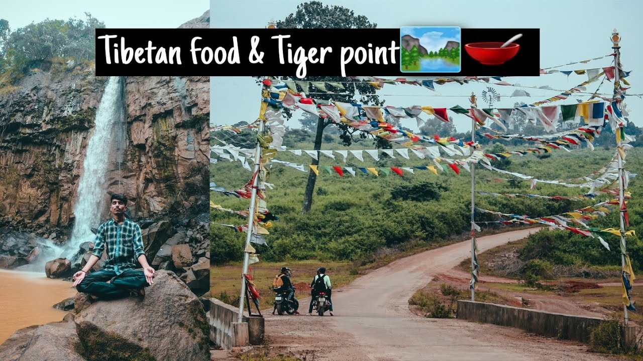 Tibetan Food / Tiger point / Mainpat Ep-04 / Shimla of Chattisgarh ...