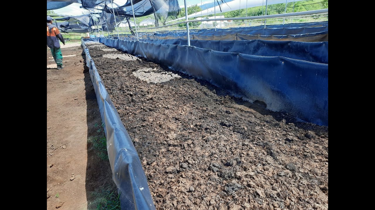 Lecho de Secado de Lodos - Enfoque PTAR Santa Verónica, Atlántico ...