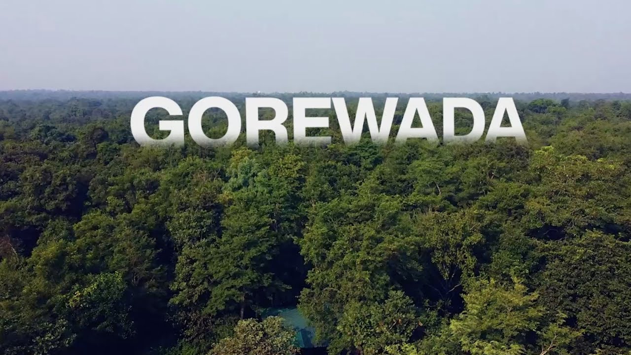 Gorewada Lake Drone View | Biopark | Zoo | Safari | Nagpur - YouTube