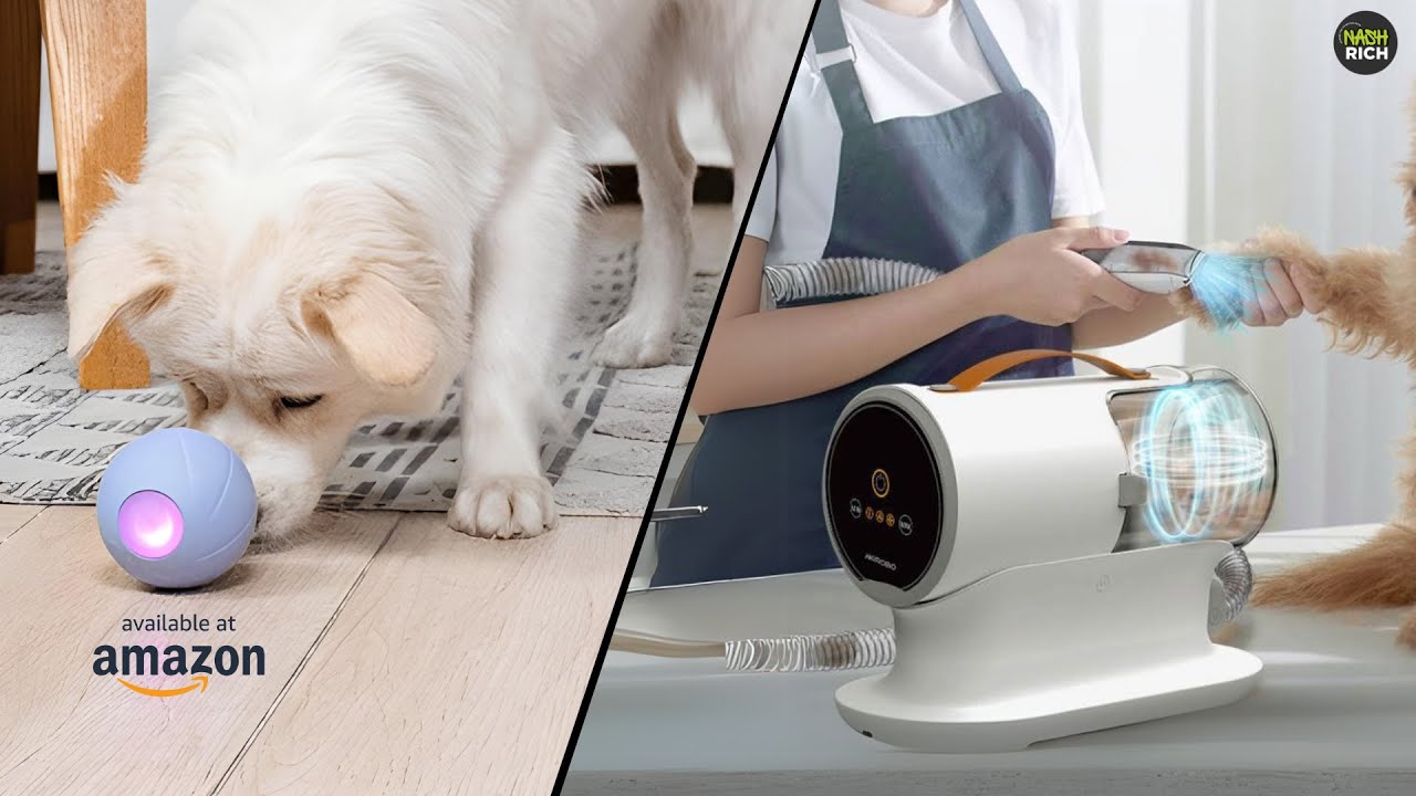 10 USEFUL Pet Gadgets You Must Have - YouTube