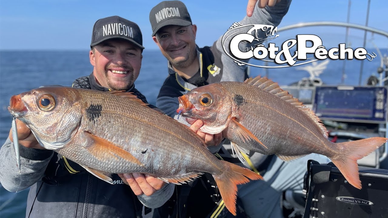 Dorade rose au jig... Comment les repérer ! - YouTube