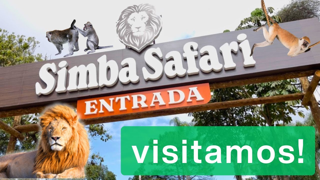 NOVO SIMBA SAFARI 2025 - PASSEIO COMPLETO - YouTube
