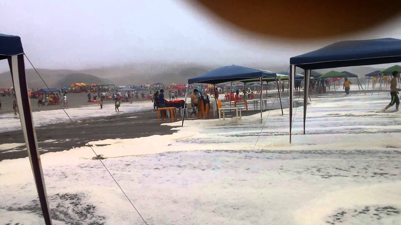 Locura de verano puerto viejo mami ju - YouTube