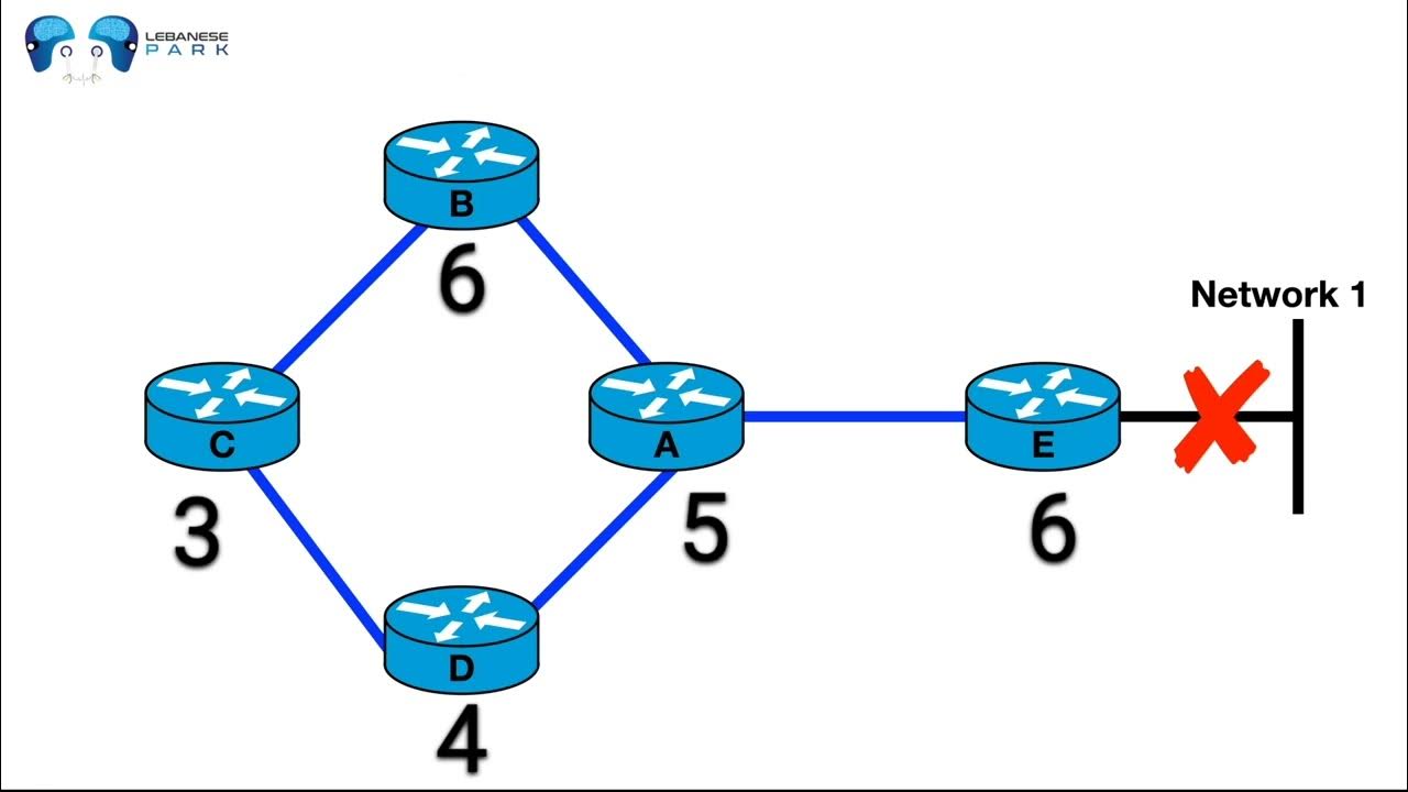 Networking Level 2 - Episode 4 - Part 8 - Routing Loops - YouTube
