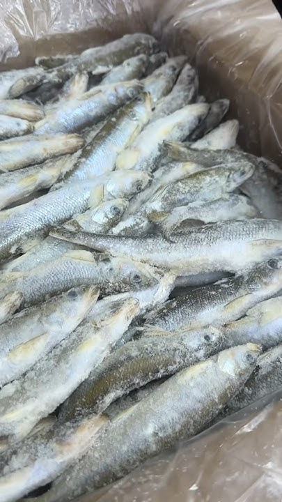 Корюшка😋Опт по РФ/СНГ🚀☎️89186387446 #икраоптом #икрачавычи #икракеты # ...