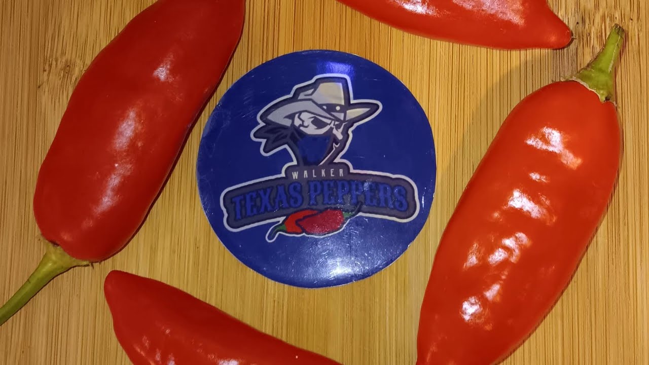 Aji Rico , 500-5000 shu - YouTube