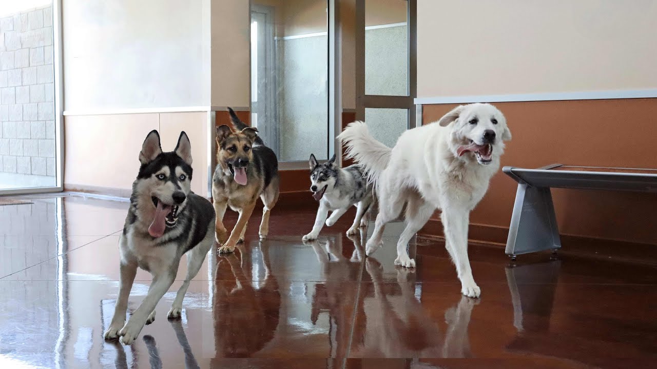 Get Em Home & Celebrate! 2023 - YouTube