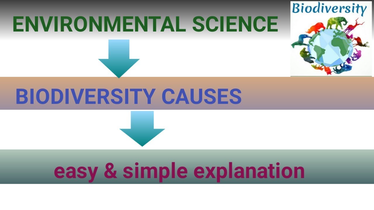 Biodiversity | Loss of Biodiversity | Environmental Science | Ecosystem ...