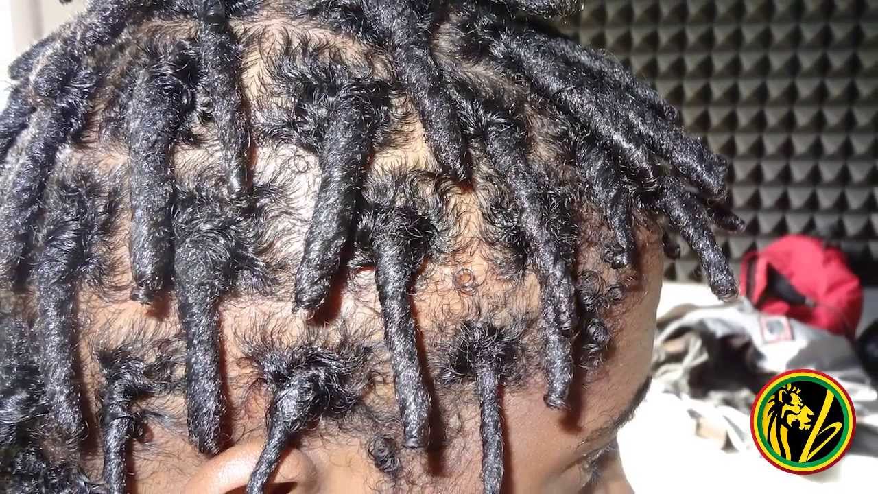 Leao Rasta Com Dreads Ai Gerado Leão Dreads Imagens Grátis No