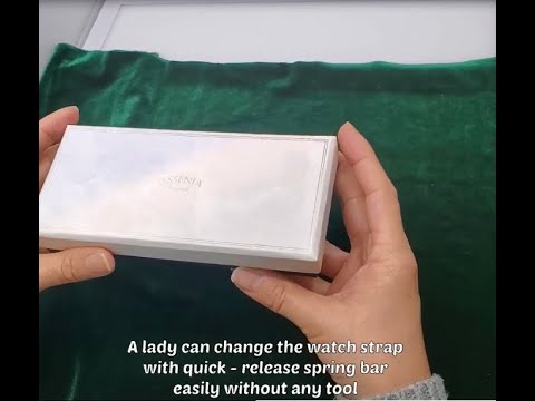 Jessenia Original changing the strap with quick release spring bar ...