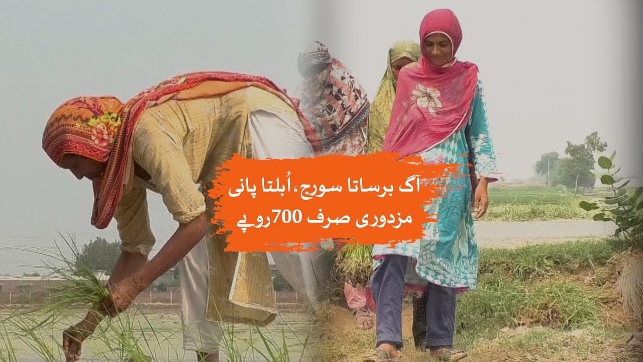 Scorching heat, boiling water and a wage of only 700 | Loksujag - YouTube
