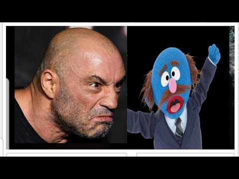 Dr Phil & Joe Rogan Defend Slavery - YouTube