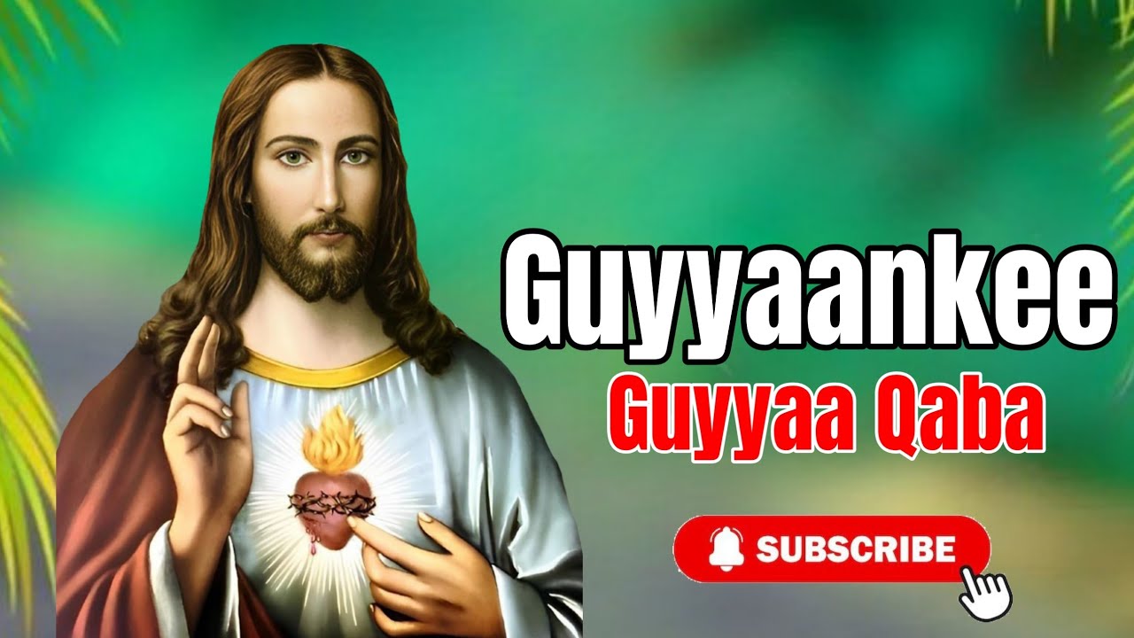 Guyyaankee Guyyaa Qabaa|Faarfannaa Boqonnaa Namaaf Kennu ...