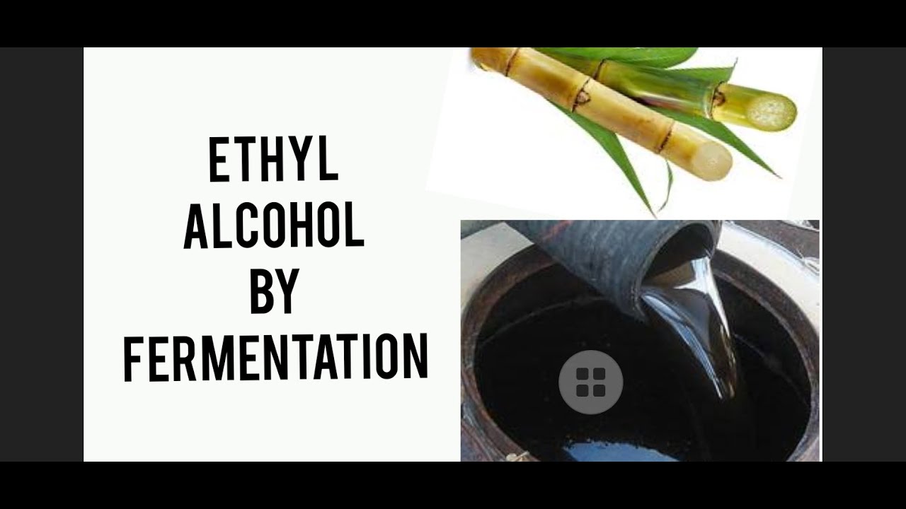 ETHYL ALCOHOL MANUFACTURING IN HINDI || BY FERMENTATION PROCESS ...