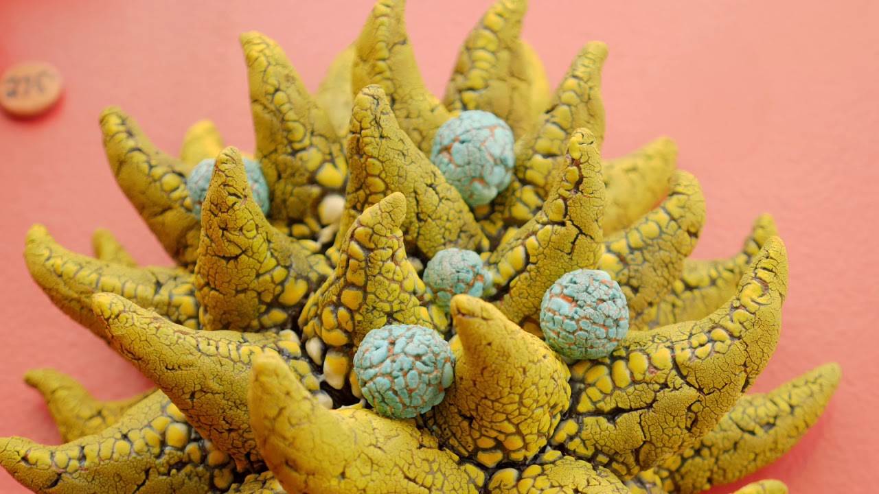 Meet The Artist: William Kidd - YouTube