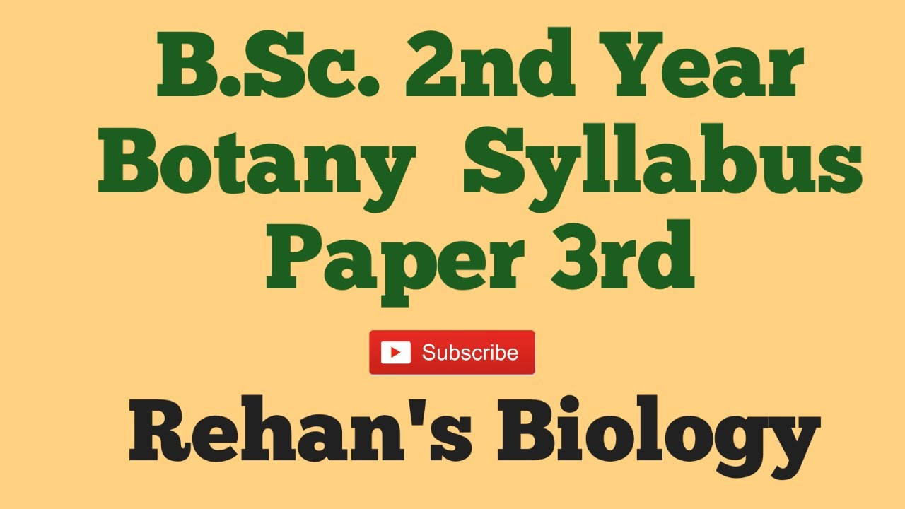 B Sc 2nd Year Botany Paper 3rd Syllabus In Hindi 3rd b-sc-2nd-year-botany-paper-3rd-syllabus-in-hindi-3rd
