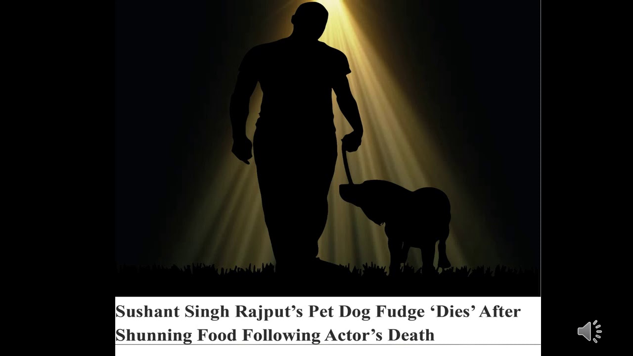 Sushant Singh dog - YouTube