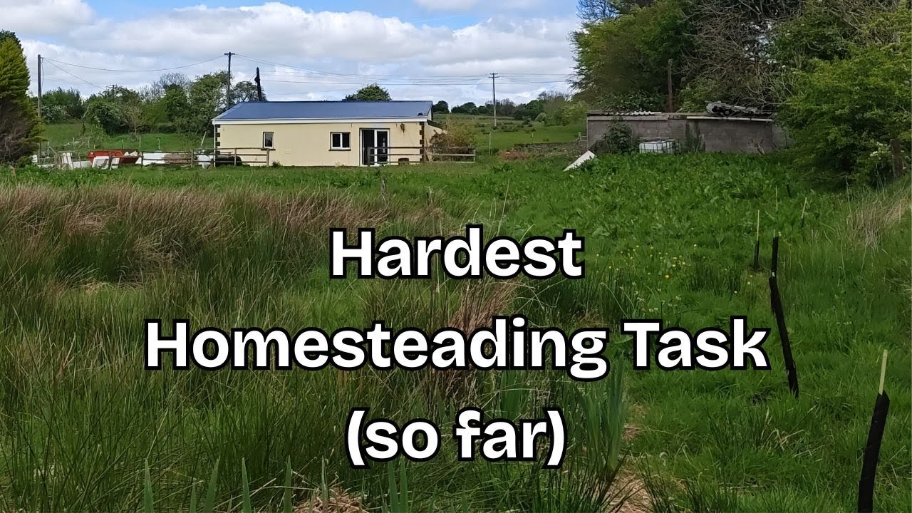 This has been the hardest job for starting an Irish Homestead & Cottage ...