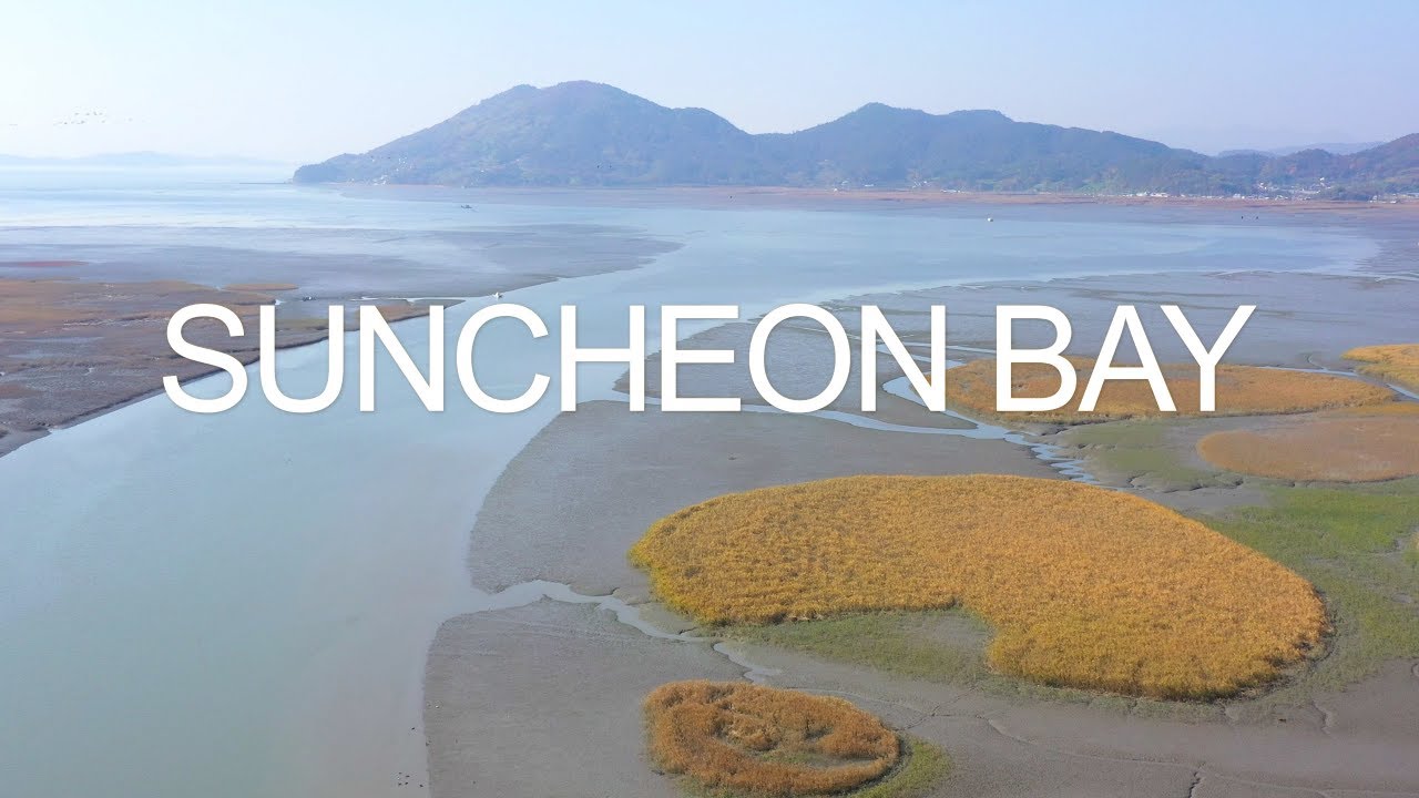 Suncheon Bay, South Korea - Drone Footage - 순천만 - YouTube