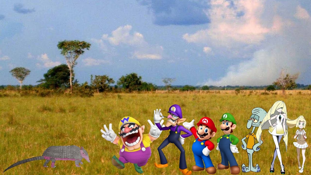Wario & Friends Discovers Nine-Banded Armadillo In The Grasslands - YouTube
