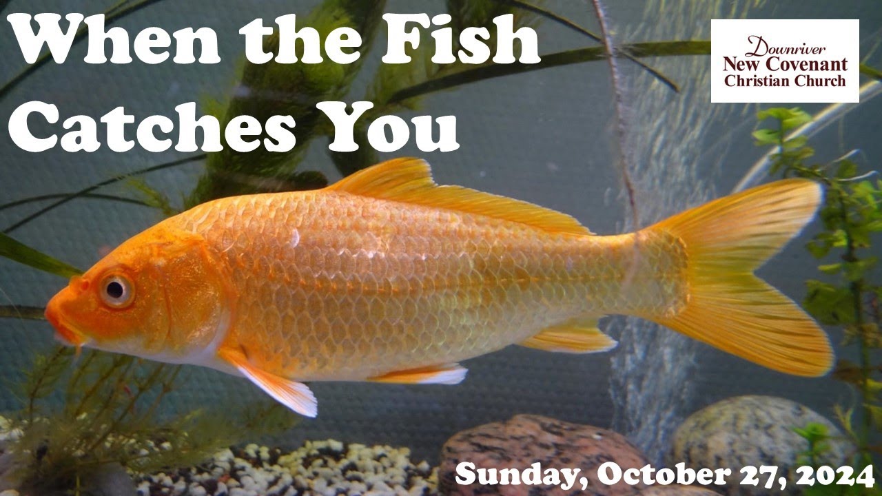When the Fish Catches You 10-27-24 - YouTube