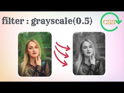 How to use CSS grayscale() function | Learn programming in Hindi and Urdu - YouTube