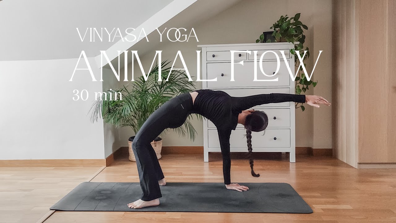 30 min Vinyasa Yoga estilo Animal Flow | Movilidad, Fuerza y Coordinación - YouTube
