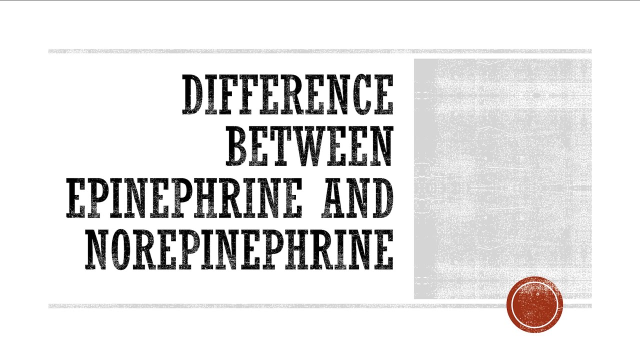 Difference Between Epinephrine And Norepinephrine YouTube