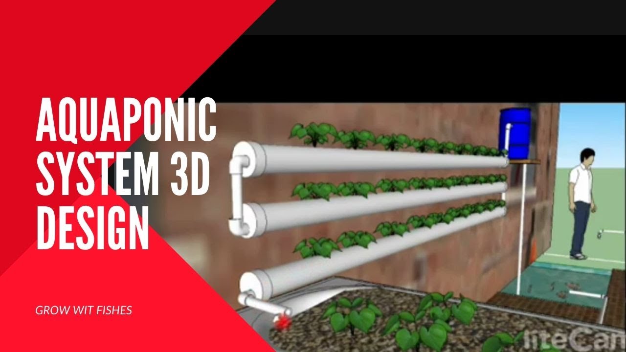 Aquaponics system 3d model design - YouTube