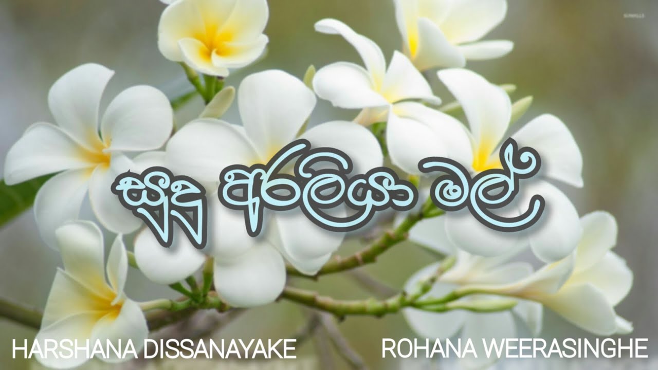 Sudu Araliya Mal - Harshana Dissanayake & Rohana Weerasinghe 'සුදු ...