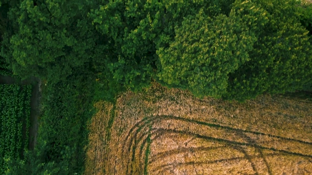 MAVIC Mini Cinematic footage 2K HD - YouTube