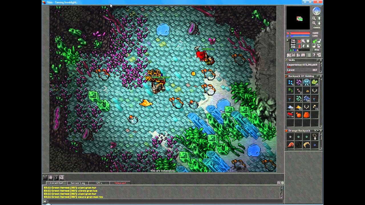 Tibia - Guardia Server - Taming Ironblight - YouTube