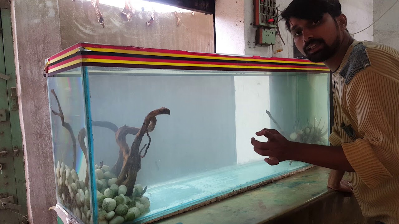 Monster Aquarium Setup - YouTube