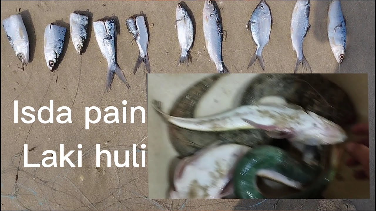 Palutang sa tanghali dapa ang nahuli #fishing @brodwelofficial - YouTube