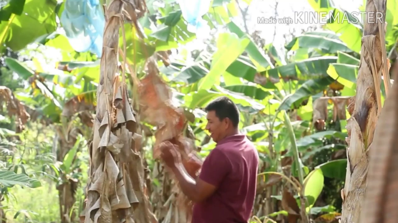 Desplazamiento forzado -Daniel Vivas 9a - YouTube