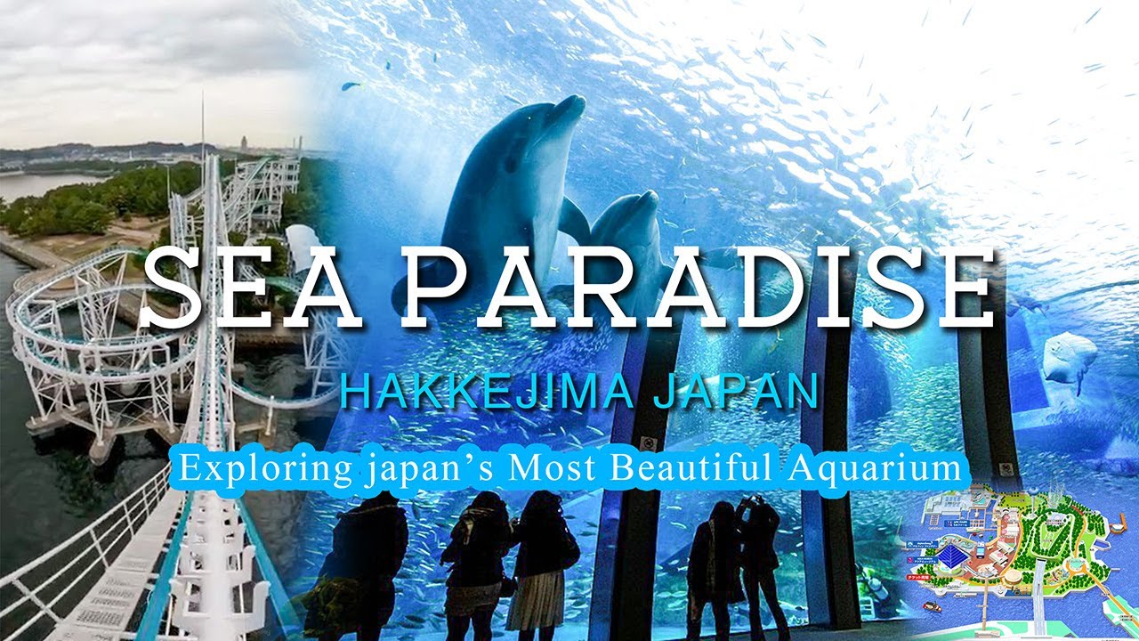 A Perfect Day at Hakkeijima Sea Paradise | Japan’s Ocean Adventure 🐬🌊 ...