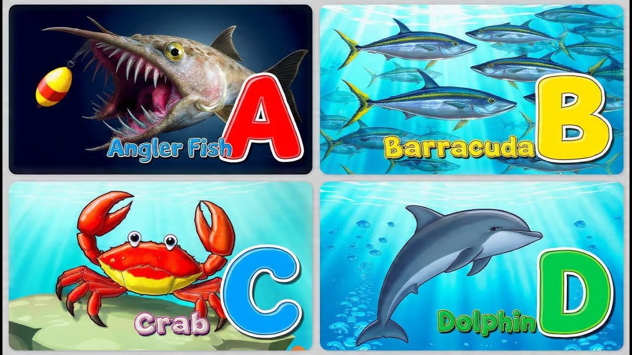 ABC Video for Toddlers | A to Z Alphabet with Sea Animals | Kids ...