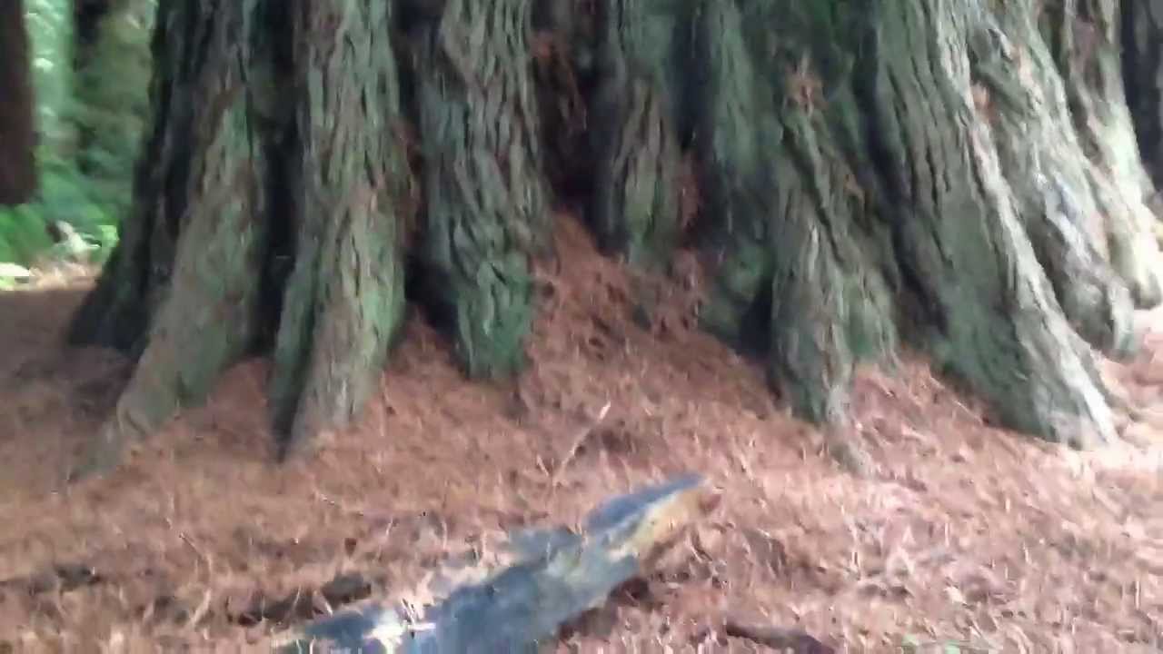 Oct 11, 2013 - YouTube