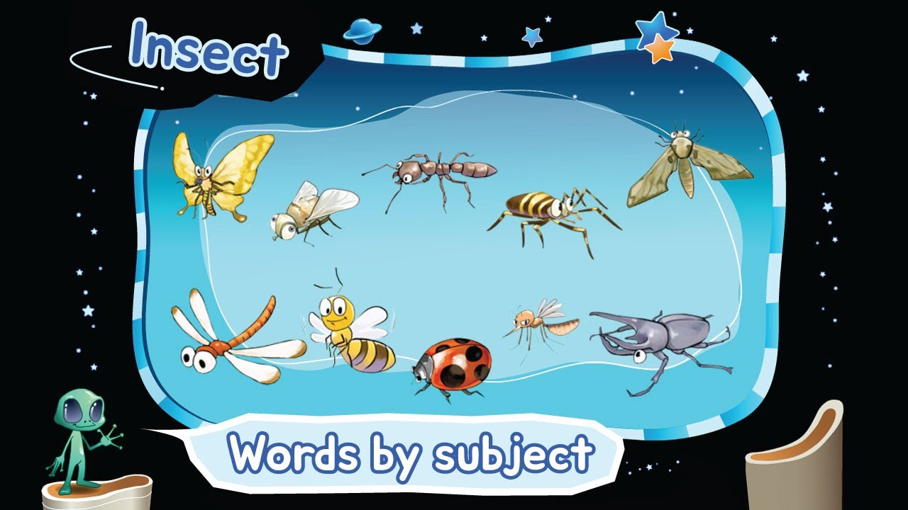 InsectㅣWords by subjectㅣBasic Englishㅣ기초영어ㅣ영단어학습ㅣ주제별 영단어 - YouTube