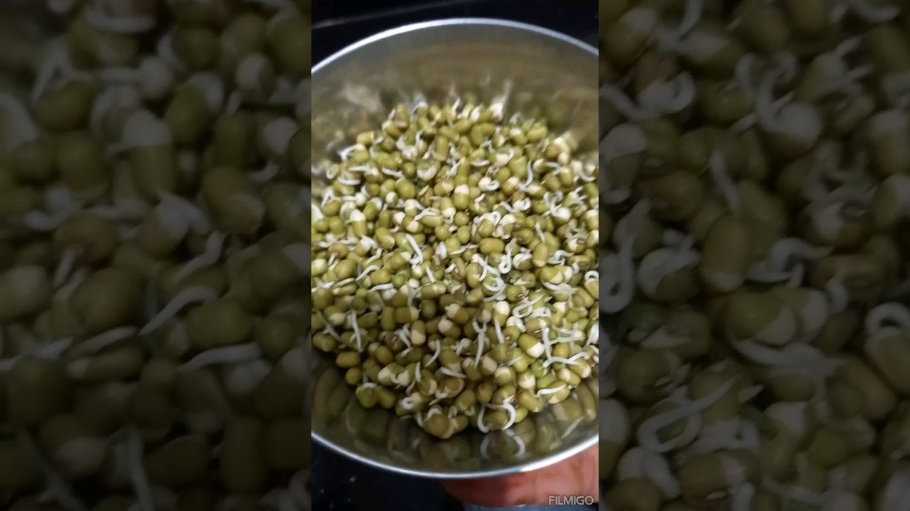 molakalu | how to make sprouts | sprouts #youtubeshorts - YouTube