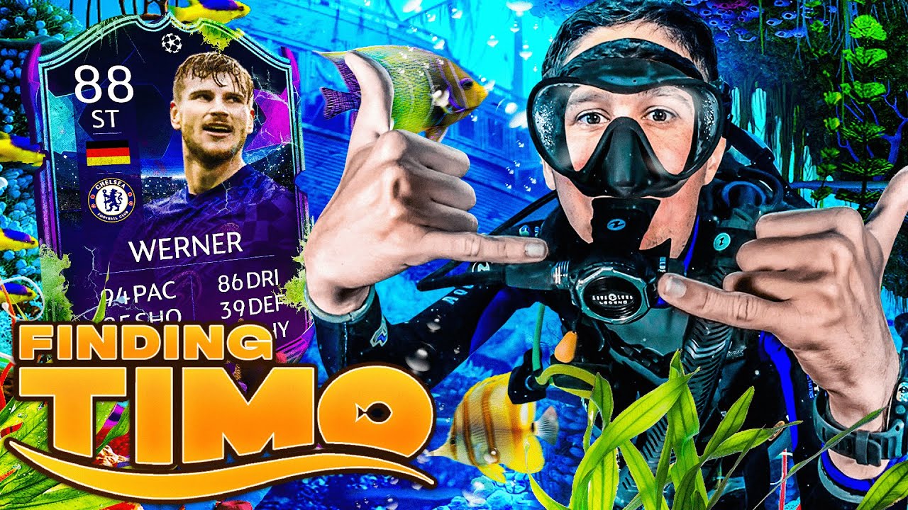 WOW I ACTUALLY GOT HIM!!! - FINDING TIMO - YouTube