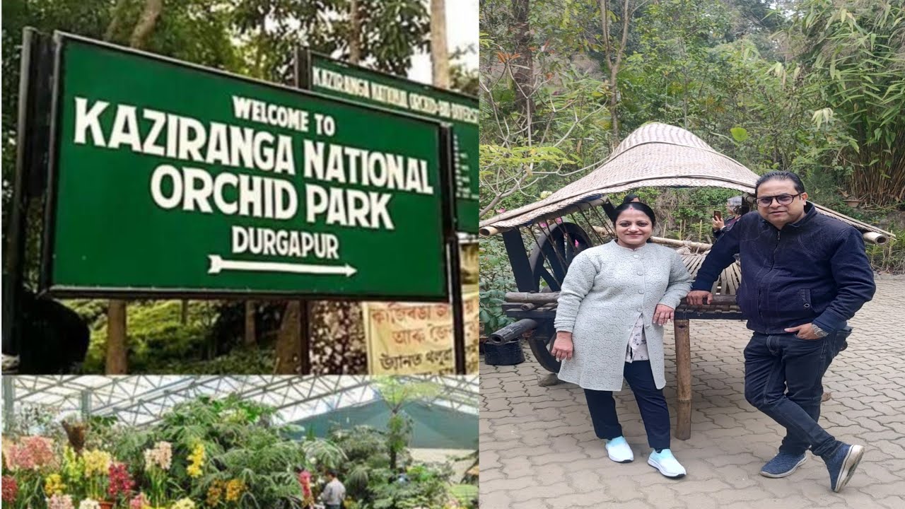 orchid park kaziranga|India's largest Orchid Park | Kaziranga | Assam ...