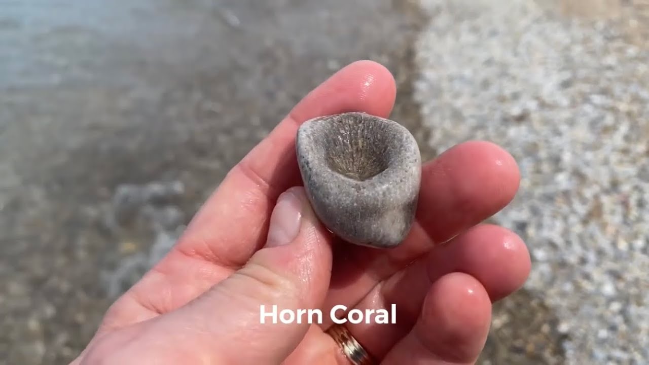 Rock Hunting with Clémence at Petoskey State Park | Lake Michigan | # ...