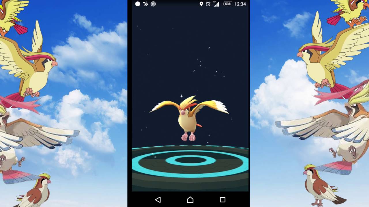 Pokemon GO | Evulayion Pidgeotto- Pidgeot - YouTube