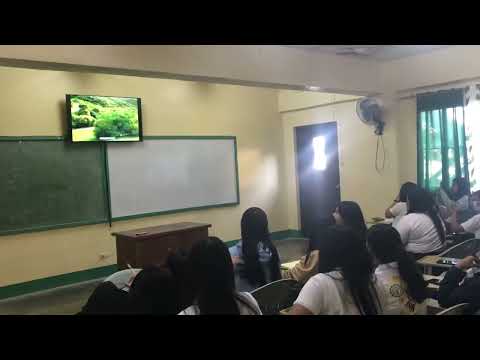 Class react to K-fee commercial (Philippines)
