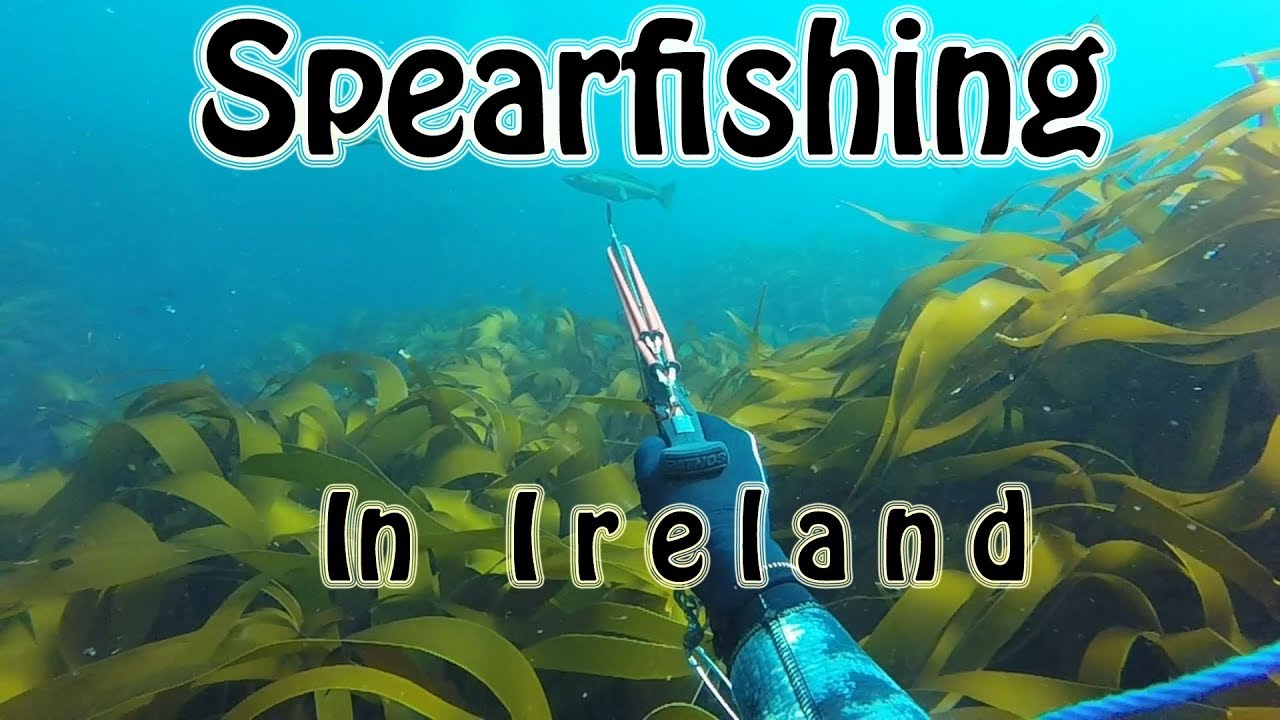 Spearfishing in Ireland - Kerry - P.B. POLLOCK 86cm! - YouTube